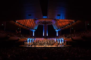 NZSO+ is a new way to discover, experience and enjoy our music | NZSO+ ...