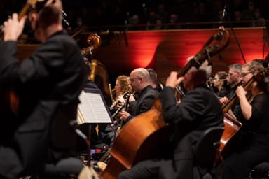 NZSO+ is a new way to discover, experience and enjoy our music | NZSO+ ...