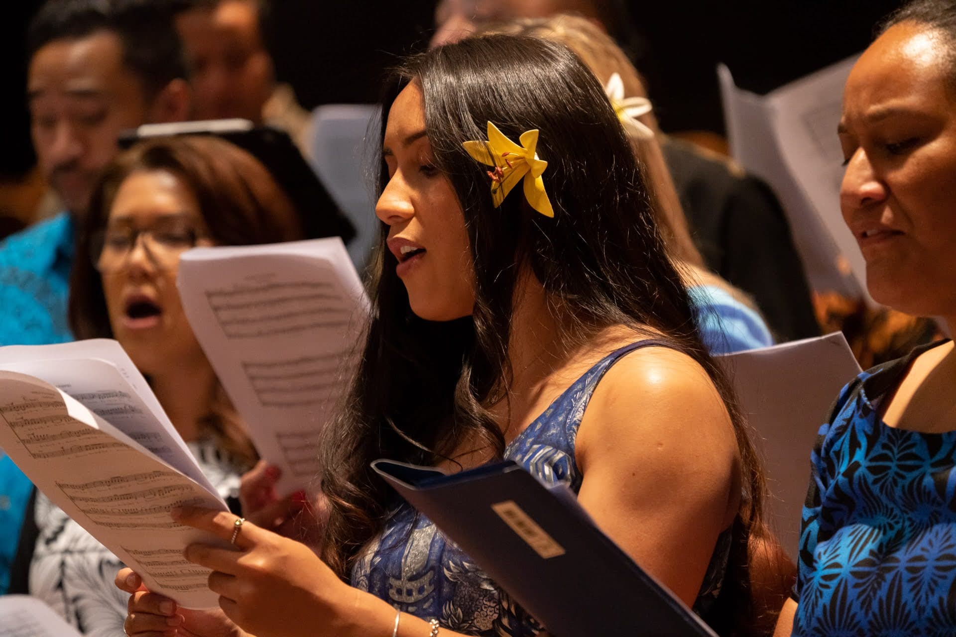 NZSO+ is a new way to discover, experience and enjoy our music | NZSO+ ...