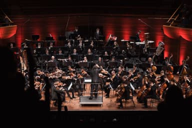 NZSO+ is a new way to discover, experience and enjoy our music | NZSO+ ...