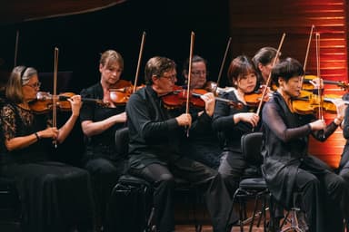 NZSO+ is a new way to discover, experience and enjoy our music | NZSO+ ...