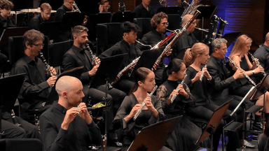 NZSO+ is a new way to discover, experience and enjoy our music | NZSO+ ...
